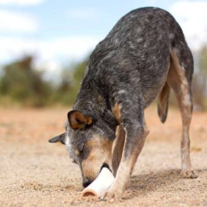 Filled Dog Bones (Flavors: Peanut Butter, Cheese, Bacon, Beef, etc.) Made in USA Stuffed Bulk 3 to 6" Femur Dog Dental Treats & Chews, American Made (Variety Pack, Small (3") -3 Flavors)