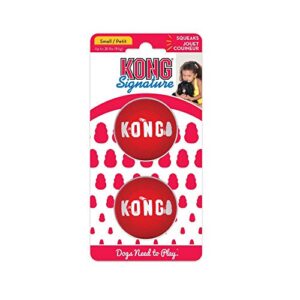 KONG - Wild Knots Bear and Signature Balls (2 Pack) - Rope Plush Toy and Squeak Balls - for Small Dogs