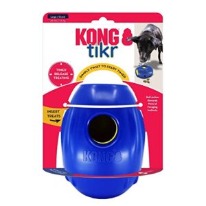 kong – tikr large