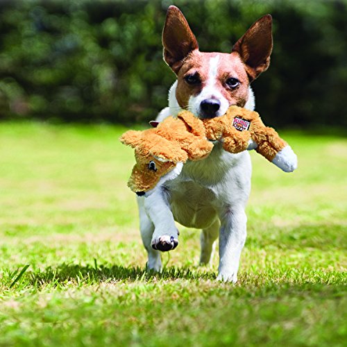 KONG - Scrunch Knots Raccoon - Internal Knotted Ropes and Minimal Stuffing for Less Mess - For Medium/Large Dogs