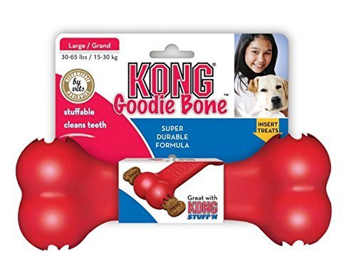 Kong Dog Goodie Bone Red, Medium, (Pack of 2)