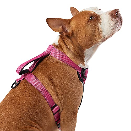 KONG Max Ultra Durable Neoprene Padded Chest Plate Dog Harness Offered by The Barker Company (Pink, Medium)