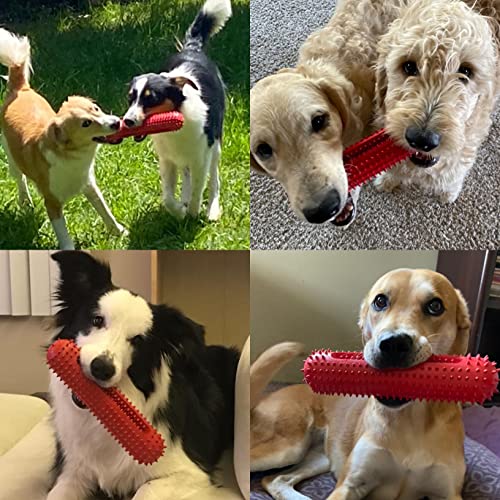 petizer Dog Squeaky Toys for Aggressive Chewers, Tough Toothbrush Dog Chew Toy, Nearly Indestructible Rubber Toys for Pet Training, Teeth Cleaning, Playing and Chewing for Medium & Large Breeds