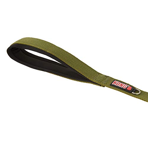 KONG Traffic Handle Quick Control Leash (Green)