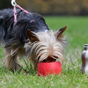 KONG H2O Stainless Steel Water Bottle (280ml/9.5oz) with Drinking Bowl Lid- Red