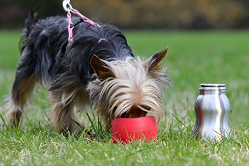 KONG H2O Stainless Steel Water Bottle (280ml/9.5oz) with Drinking Bowl Lid- Red