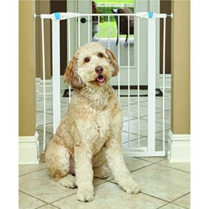 Pet Gate | 39" High Walk-thru Steel Pet Gate by 29" to 38" Wide in Soft White w/ Glow Frame, X-Tall