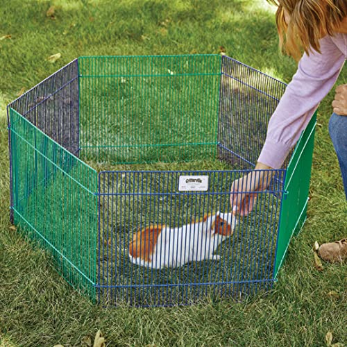 Small Animal Pet Playpen /Exercise Pen, Blue and Green,1 Count (Pack of 1), Small Animal Playpen.