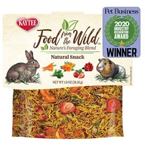 kaytee food from the wild natural snack for pet rabbits, guinea pigs and other small animals, 1 ounce