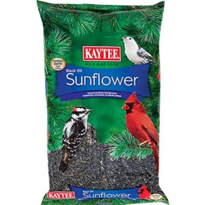 kaytee wild bird black oil sunflower food, 5 pounds