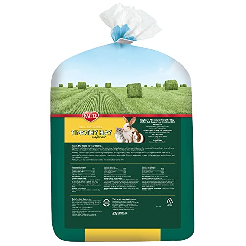 Kaytee Wafer Cut All Natural Timothy Hay for Pet Guinea Pigs, Rabbits & Other Small Animals, 60 Ounce