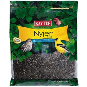 kaytee nyjer wild bird food seed, 5 pound