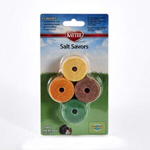 kaytee mini salt savors 4 count