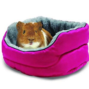 Kaytee Super Sleeper Cuddle-E-Cup Bed for Pet Guinea Pigs, Rats, Chinchillas and Other Small Animals