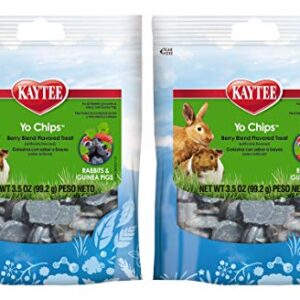 Kaytee 2 Pack of Mixed Berry Flavor Yo Chips, 3.5 Ounces each, for Rabbits and Guinea Pigs