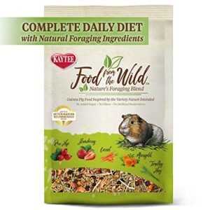 kaytee food from the wild natural pet guinea pig food, 4 pound