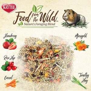 Kaytee Food from The Wild Natural Pet Guinea Pig Food, 4 Pound