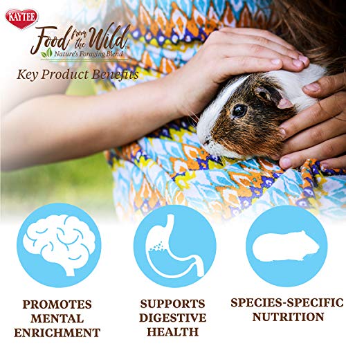 Kaytee Food from The Wild Natural Pet Guinea Pig Food, 4 Pound