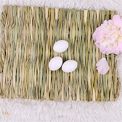 Grass Mat Woven Bed Mat for Small Animal Bunny Bedding Nest Chew Toy Bed Play Toy for Guinea Pig Parrot Rabbit Bunny Hamster Rat(Pack of 3) (3 Grass mats)