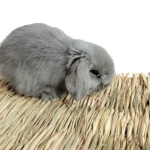 Grass Mat Woven Bed Mat for Small Animal Bunny Bedding Nest Chew Toy Bed Play Toy for Guinea Pig Parrot Rabbit Bunny Hamster Rat(Pack of 3) (3 Grass mats)