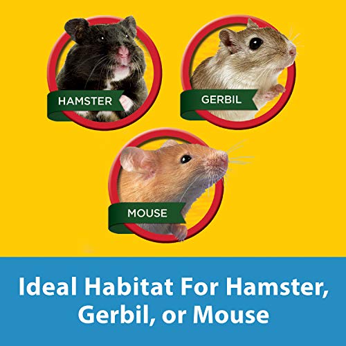 Kaytee CritterTrail Starter Kit Habitat for Pet Gerbils, Hamsters or Mice