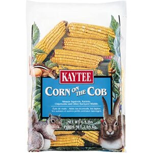 kaytee corn on the cob food for wild squirrels, rabbits, chipmunks and other backyard wildlife, 6.5 pound