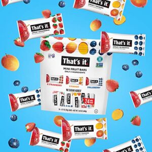 That's it. Mini Fruit Bars (Variety 24 PACK) No Sugar Added, Plant-Based, Vegan & Gluten Free, Breakfast Bar, Paleo, for Children & Adults, Non GMO, Fiber (8 Blueberry, 8 Strawberry, 8 Mango)