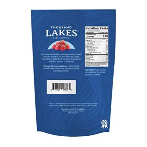 Thousand Lakes Freeze Dried Fruit - Strawberries 2-pack 1.2 ounces (2.4 ounces total) | No Sugar Added | 100% Sliced Strawberries