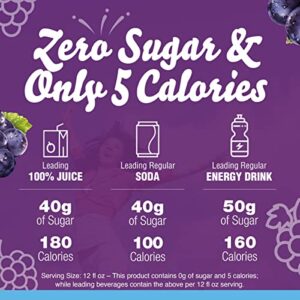 Crystal Light Sugar-Free Concord Grape Low Calories Powdered Drink Mix 6 Count Pitcher Packets