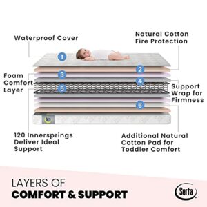 Serta Tranquility Eco Firm 2-Stage Premium Baby Crib Mattress & Sealy Stain Protection Waterproof Fitted Toddler Bed and Baby Crib Mattress Pad