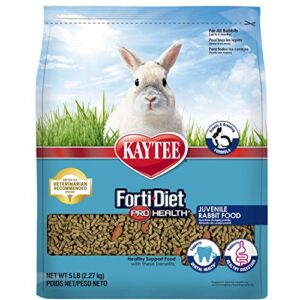 kaytee forti-diet pro health juvenile rabbit food 5lb