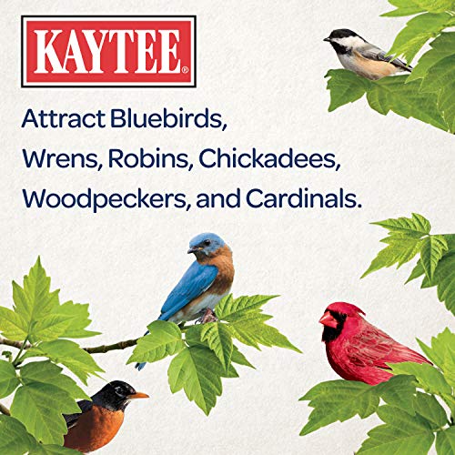 Kaytee Wild Bird Food Mealworms For Bluebirds, Wrens, Robins, Chickadees, Woodpeckers, Cardinals & Chickens, 17.6 Ounce