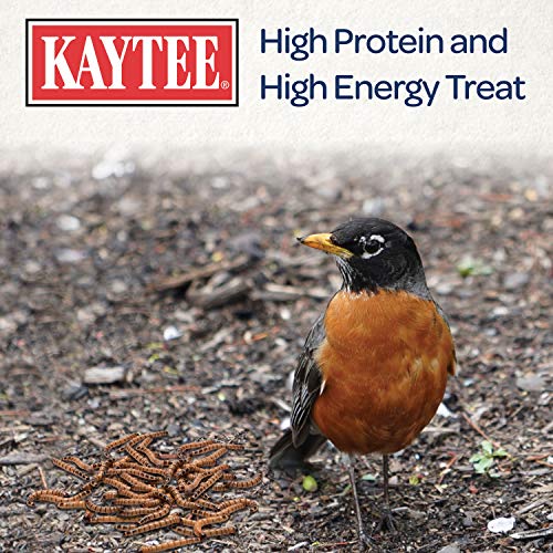 Kaytee Wild Bird Food Mealworms For Bluebirds, Wrens, Robins, Chickadees, Woodpeckers, Cardinals & Chickens, 17.6 Ounce