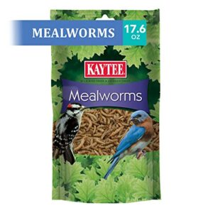 Kaytee Wild Bird Food Mealworms For Bluebirds, Wrens, Robins, Chickadees, Woodpeckers, Cardinals & Chickens, 17.6 Ounce