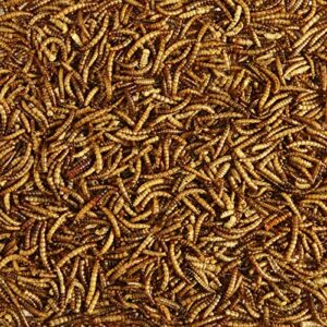 Kaytee Wild Bird Food Mealworms For Bluebirds, Wrens, Robins, Chickadees, Woodpeckers, Cardinals & Chickens, 17.6 Ounce