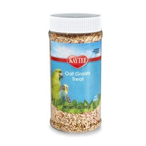 kaytee oat groats treat jar- all pet birds 11 oz