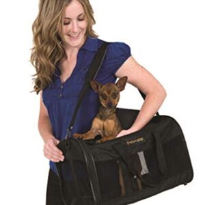 Petmate Soft-Sided Kennel Cab Pet Carrier,Black,Up to 15lbs, 17 X 10 X 10 (21329)