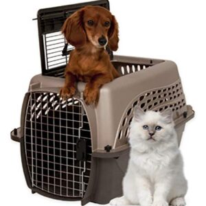 Petmate Two-Door Small Dog Kennel & Cat Kennel (Top Loading or Front Loading Pet Carrier, Great for Small Animals, Made with Recycled Materials, 24 inches in Length) For Pets up to 15 Pounds