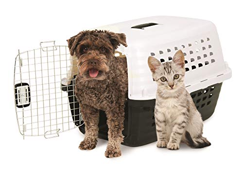 Petmate 41032 Compass Fashion Kennel Cat and Dog Kennel, 10-20 lb., Pearl White/Black