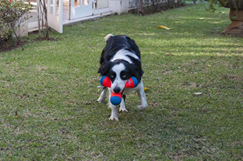 Chuckit! Amphibious Tri-Bumper Fetch Dog Toy, Medium (8.2 Inch)