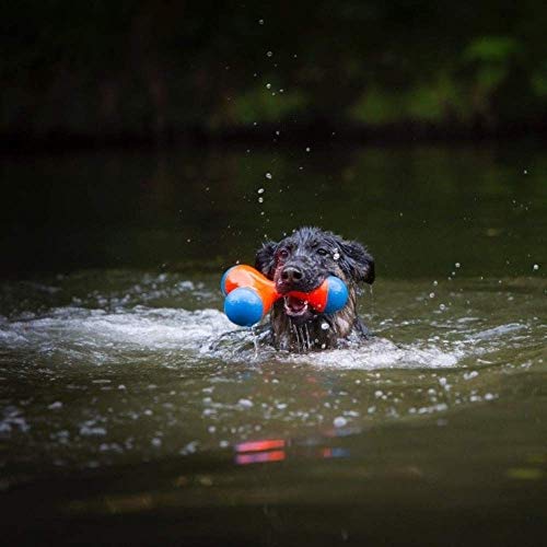 Chuckit! Amphibious Tri-Bumper Fetch Dog Toy, Medium (8.2 Inch)