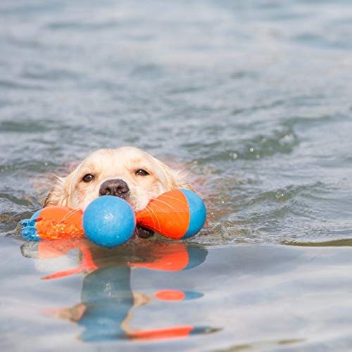 Chuckit! Amphibious Tri-Bumper Fetch Dog Toy, Medium (8.2 Inch)