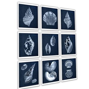 gnosis picture archive seashells wall decor set of 9 unframed artprints, navy blue and white coastal wall decor, hamptons style, coastal grandma home decor gift