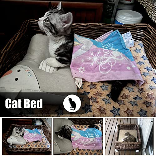 Elevated Dog Bed Cats Cot Brown Willow Rattan, Large/Medium/Small Pet Bed for Rabbits, with Cushion Pad (Size : L 120 x W 70 cm)