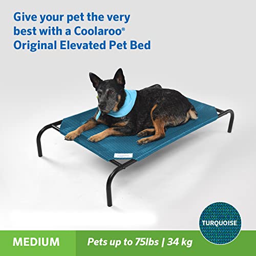 Coolaroo The Original Cooling Elevated Pet Bed, Turquioise, Medium