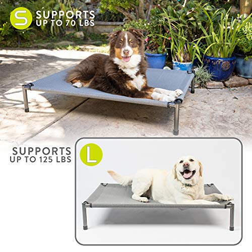 Hyper Pet's Raised Rest Deluxe Elevated Dog Bed (Outdoor Dog Bed-Great Raised Dog Bed, Small Dog Bed- Medium Dog Bed) [Value Pack 1 Frame-2 Covers Gray/Teal] 30"x20'x6.99"