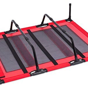 Internet's Best Dog Cot - 48 x 36 - Elevated Dog Bed - Cool Breathable Mesh - Indoor or Outdoor Use - Large - Red