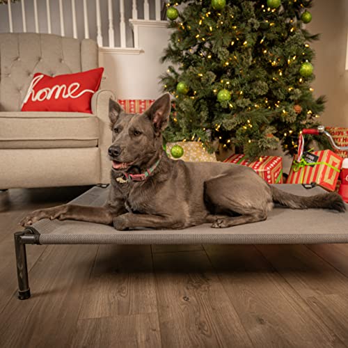 Hyper Pet Raised Rest Deluxe Elevated Dog Bed (Outdoor Dog Bed That is a Washable Dog Bed -Great Raised Dog Bed, Large Dog Bed- X-Large Dog Bed) 40x30x6.99-Holds 125 lbs-Gray