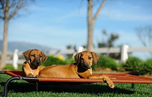 Love's cabin Outdoor Elevated Dog Bed - 49in Cooling Pet Dog Beds for Extra Large Medium Small Dogs - Portable Dog Cot for Camping or Beach, Durable Summer Frame with Breathable Mesh