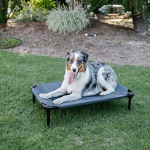 lucky dog 36” elevated pet bed cot | indoor & outdoor use | gray